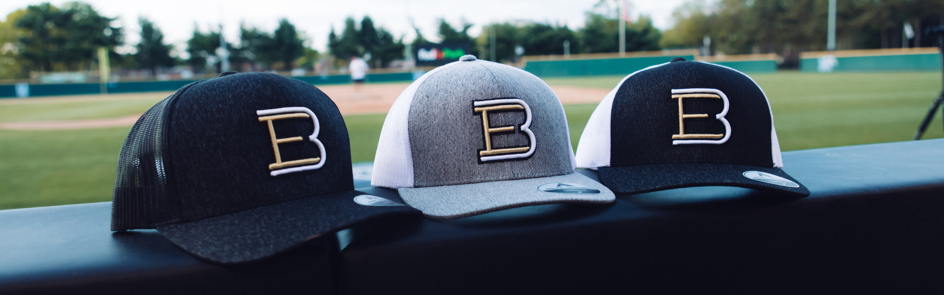 Experience EBC | Easley Baseball Club